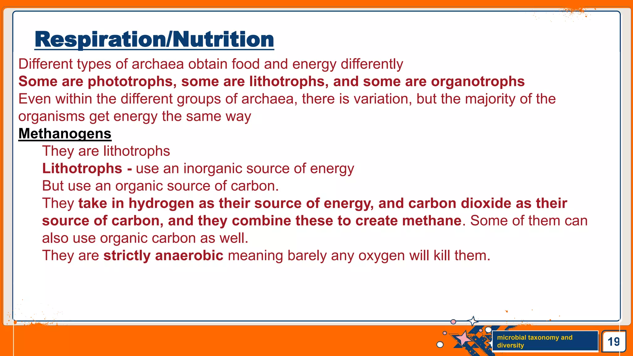 Archaebacteria | PPTX