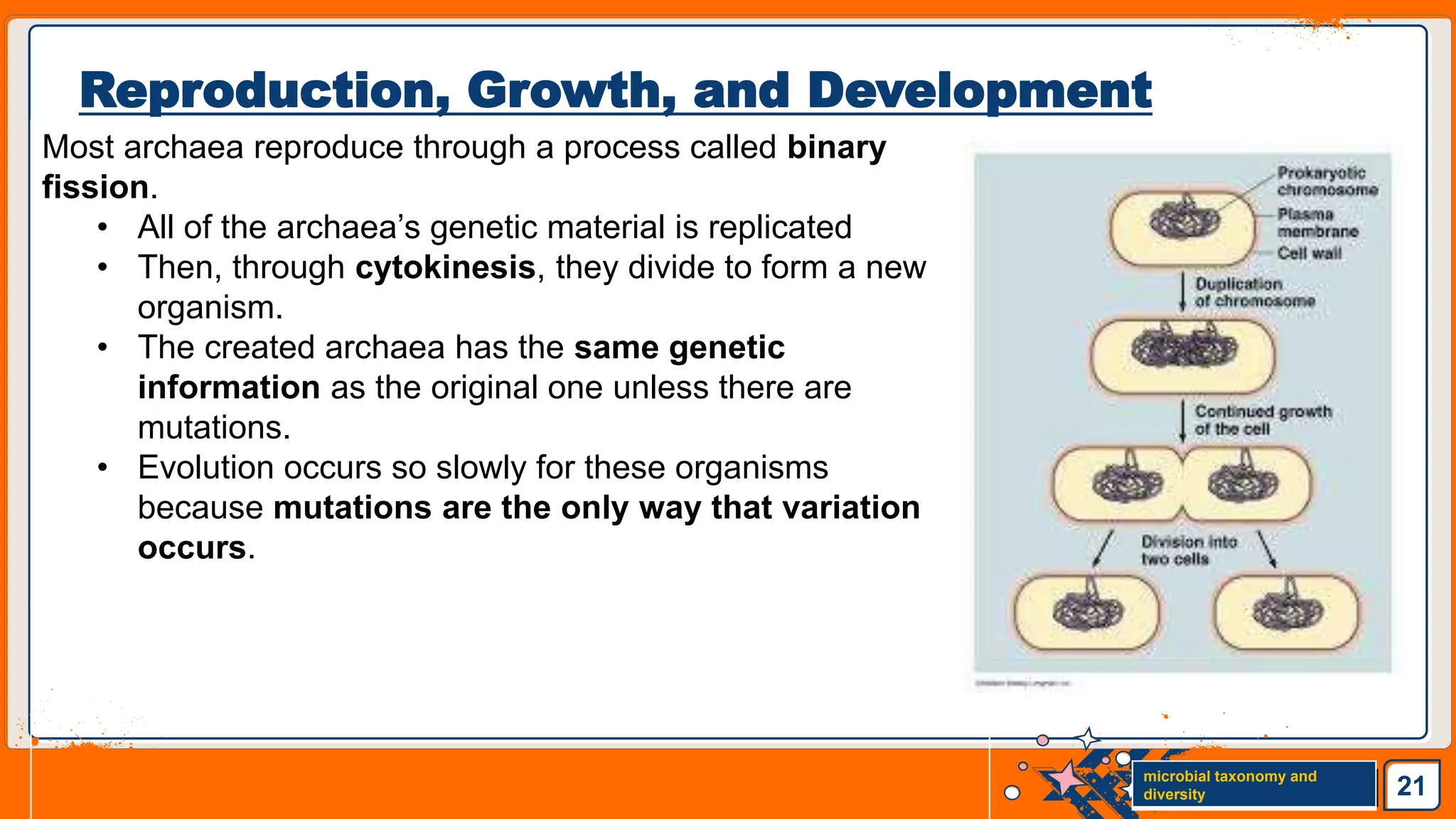 Archaebacteria | PPTX