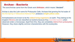 Archaebacteria | PPTX | Biological Sciences | Science