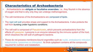 Archaebacteria | PPTX