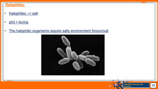 Archaebacteria Halophiles