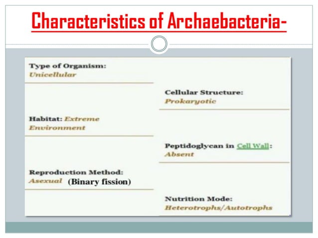 Archaebacteria | PDF