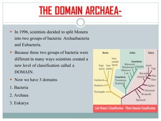 Archaebacteria | PDF