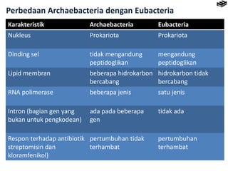Archaebacteria and eubacteria | PDF