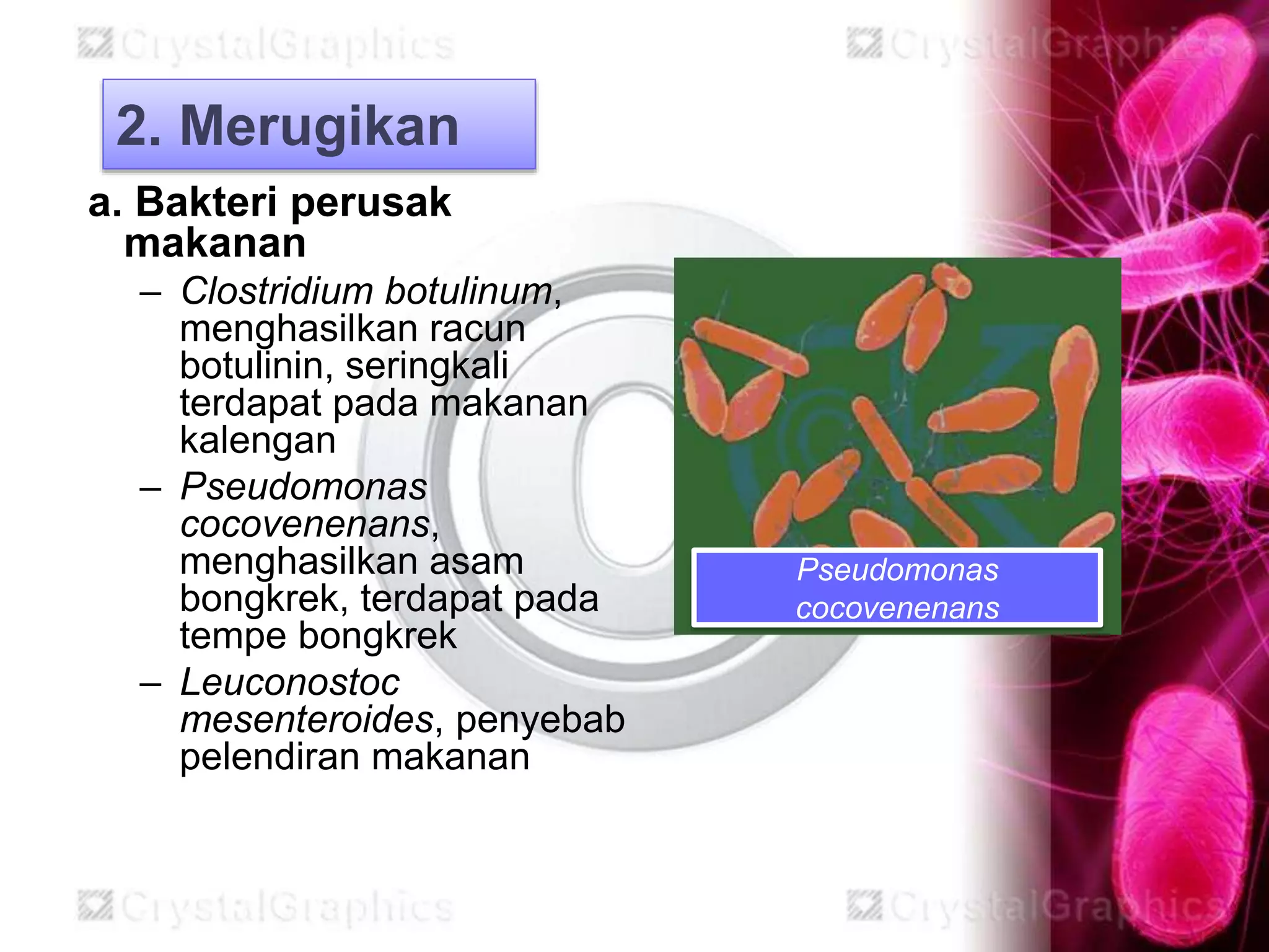 Archaebacteria dan Eubacteria new2.pptx