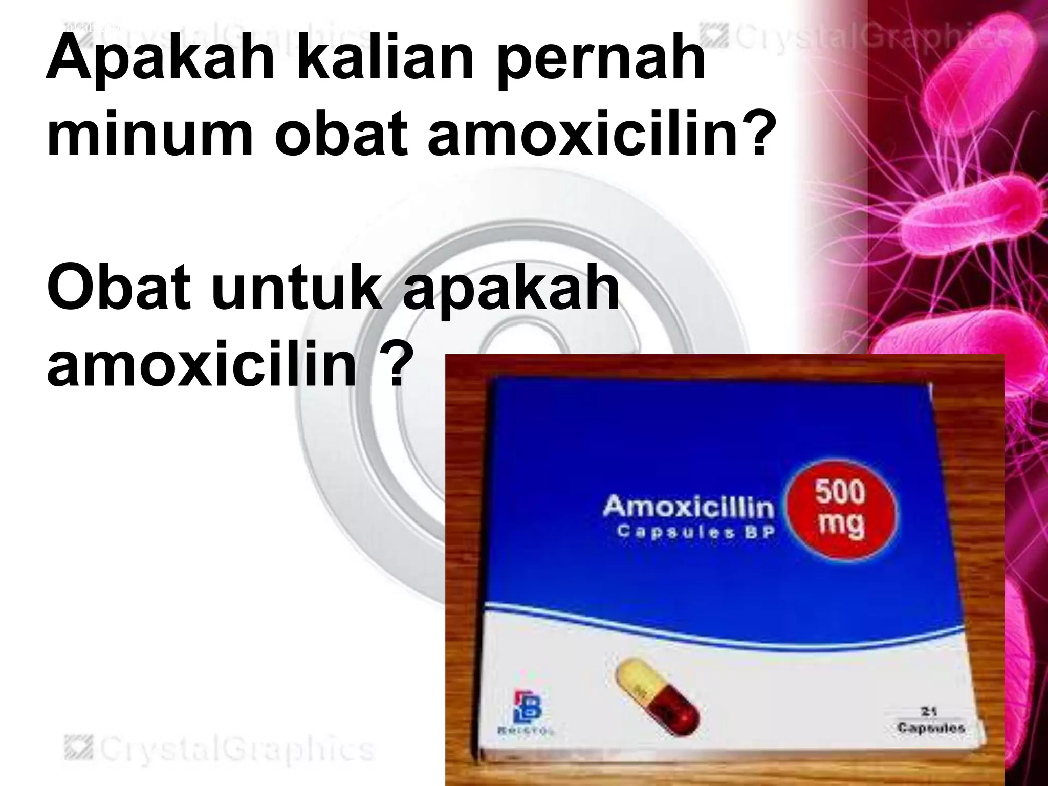 Archaebacteria Dan Eubacteria New2pptx 4767