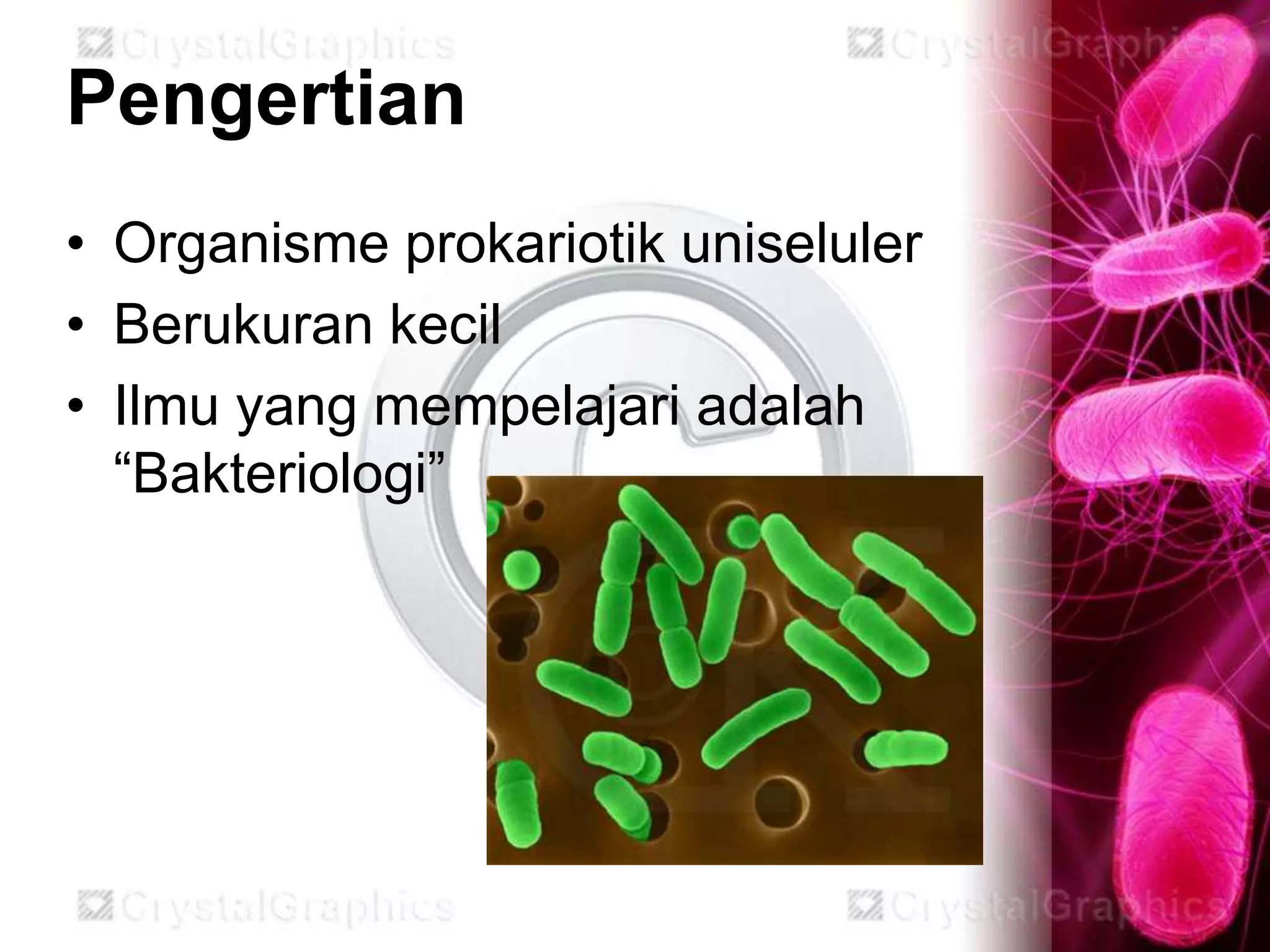 Archaebacteria Dan Eubacteria New2pptx 1332