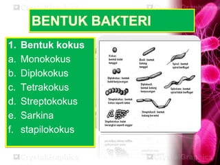 Archaebacteria dan Eubacteria new2.pptx