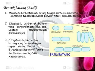 Archaebacteria dan Eubacteria new2.pptx