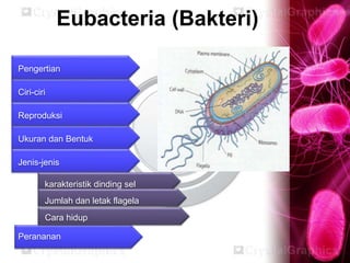 Archaebacteria dan Eubacteria new2.pptx