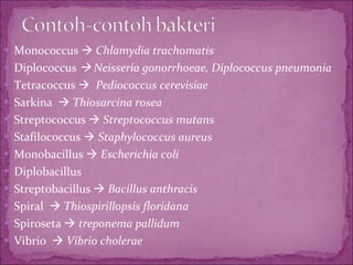 Archaebacteria & eubacteria | PPT