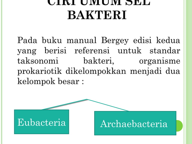 Archae dan Eubacteria | PPT