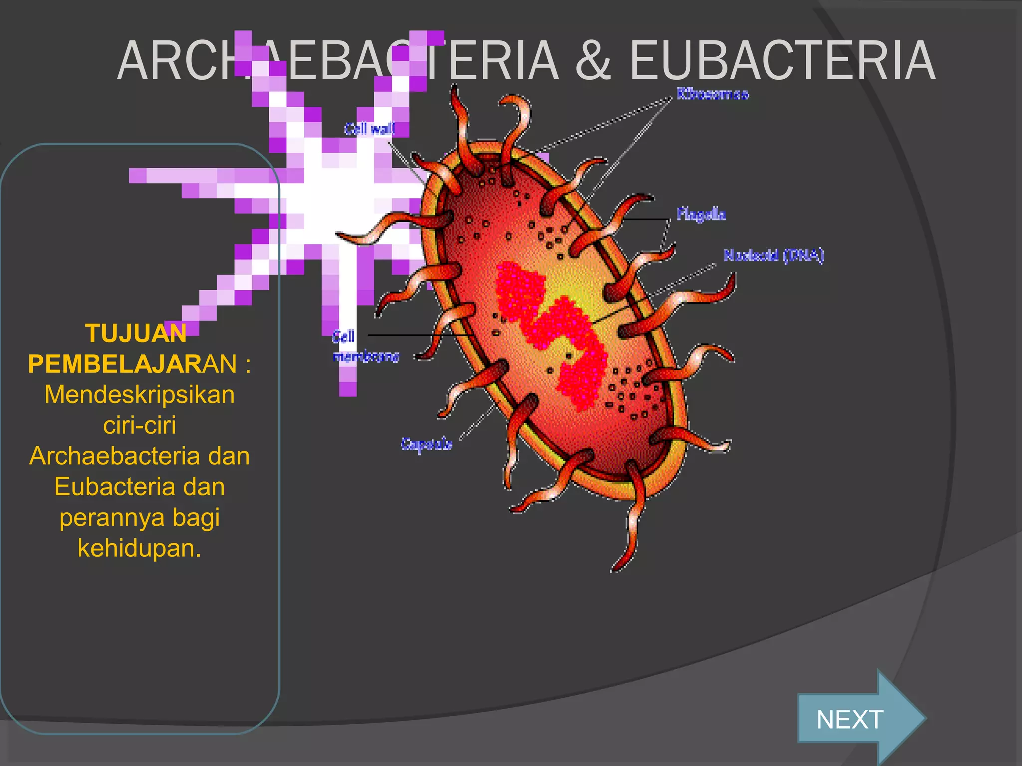 Archae&eubacteria | PPT