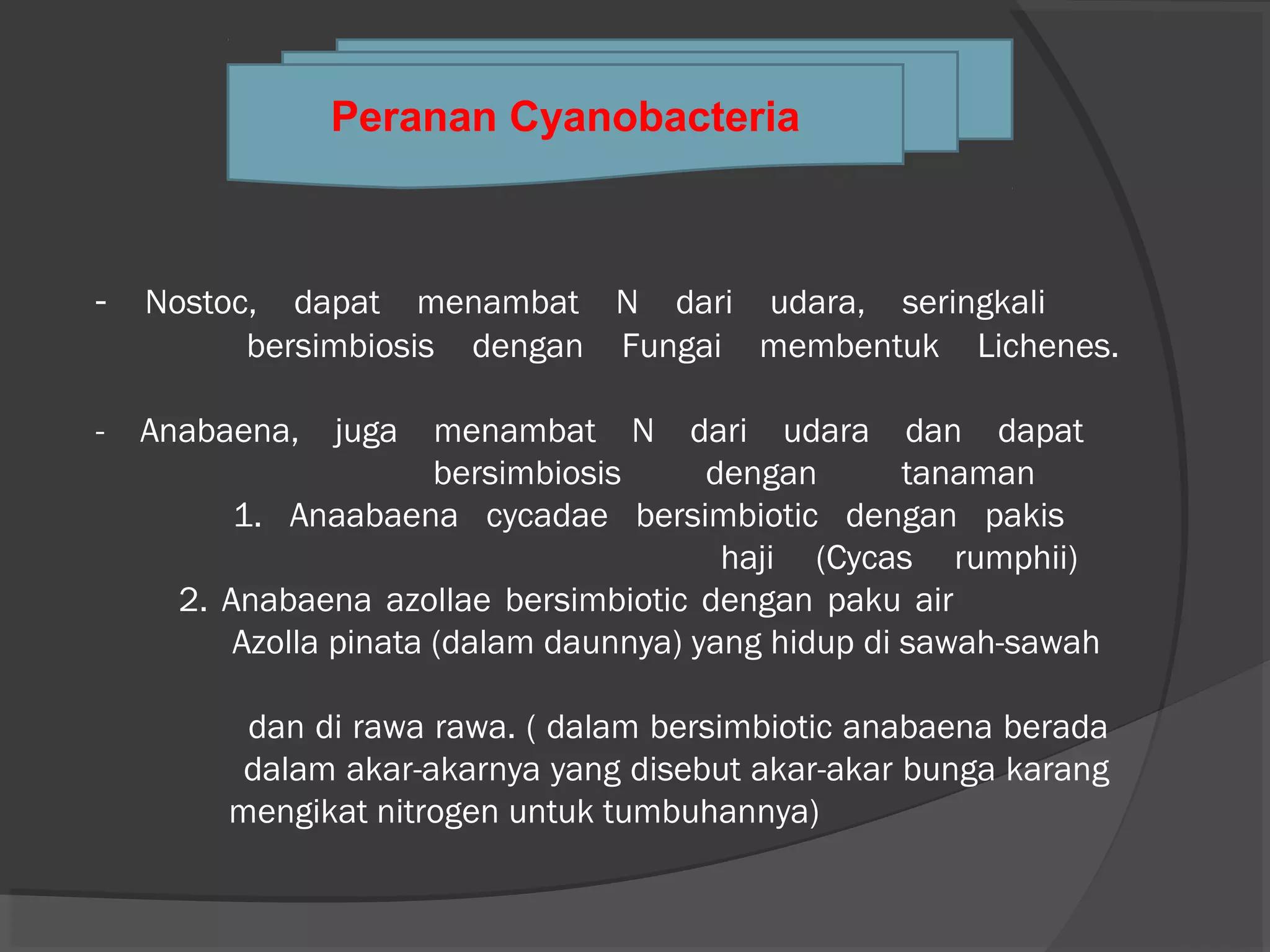 Archae&eubacteria | PPT