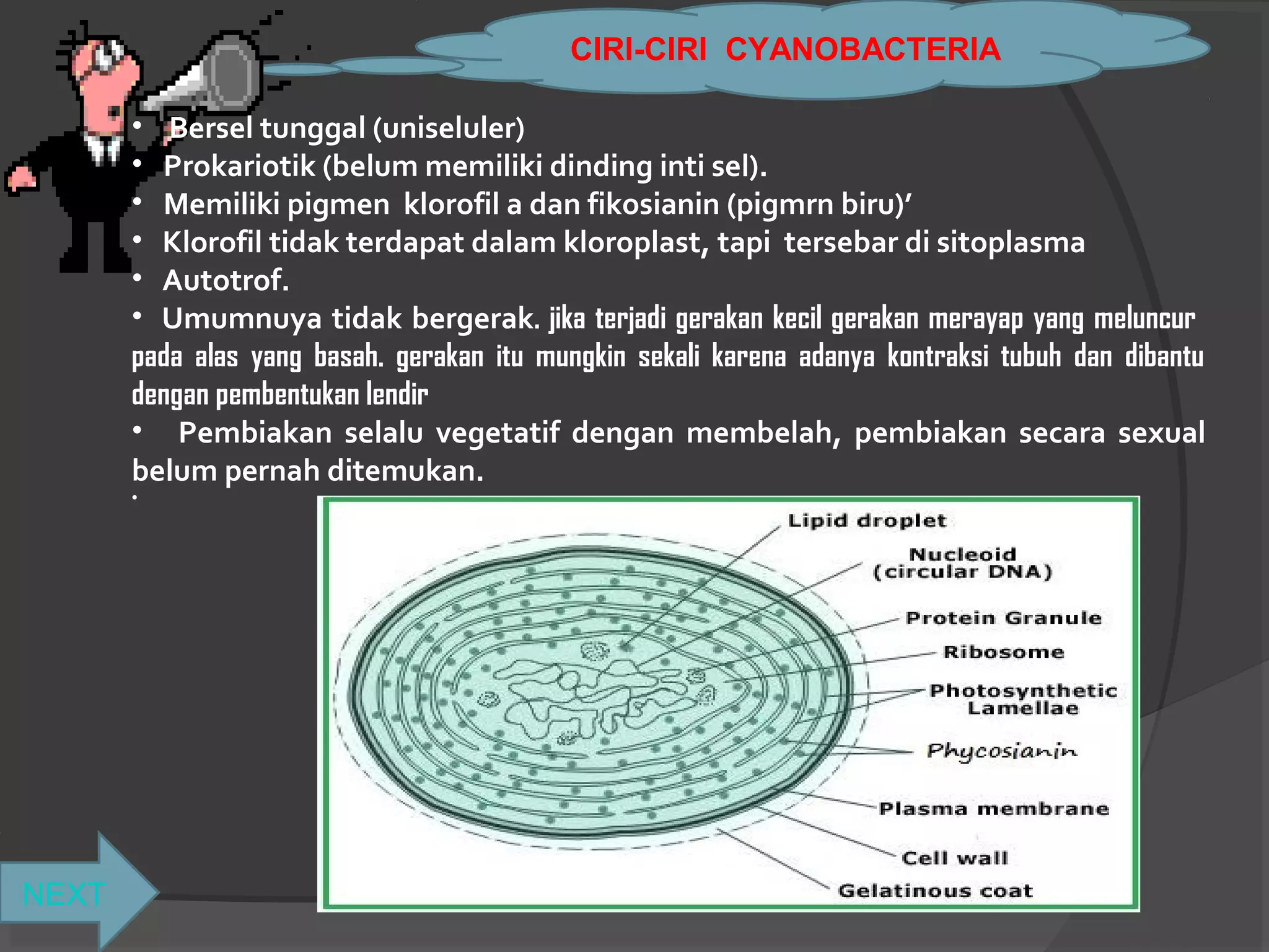 Archae&eubacteria | PPT