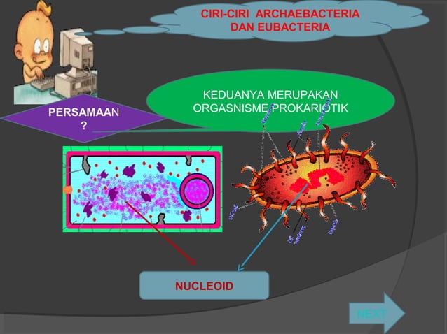 Archae&eubacteria | PPT