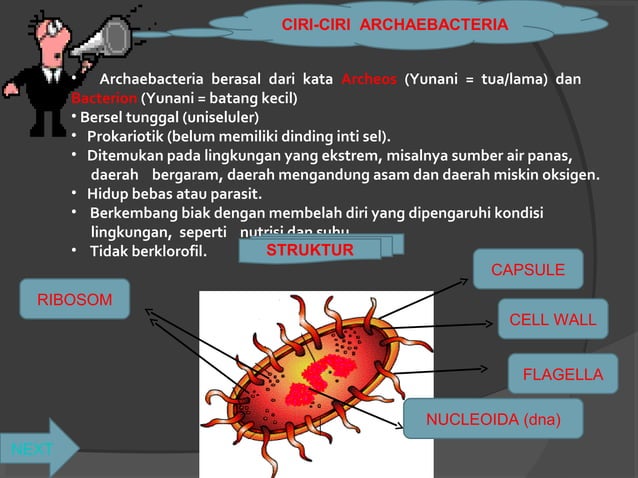 Archae&eubacteria | PPT