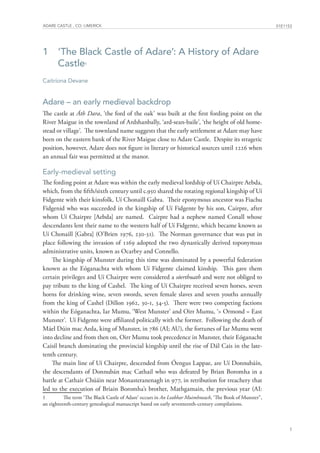 Archaeological report Adare Castle, Co. Limerick | PDF