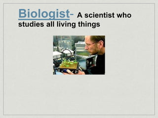 Archaeology Vocabulary | PPT