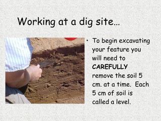 Archaeology Can You Dig It | PPT