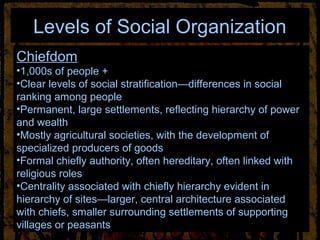 Archaeology of social organization | PPT