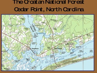 Archaeology Slideshow | PPT