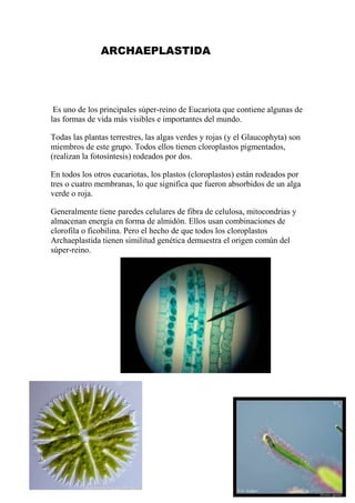 Archaeplastida | DOC