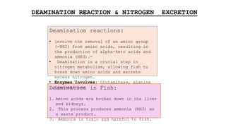 Archana and sakshi food chem deamination | PPT
