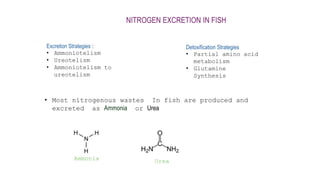 Archana and sakshi food chem deamination | PPT