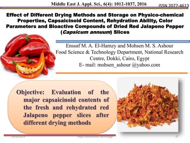 REFRACTANCE WINDOW DRYING | PPTX