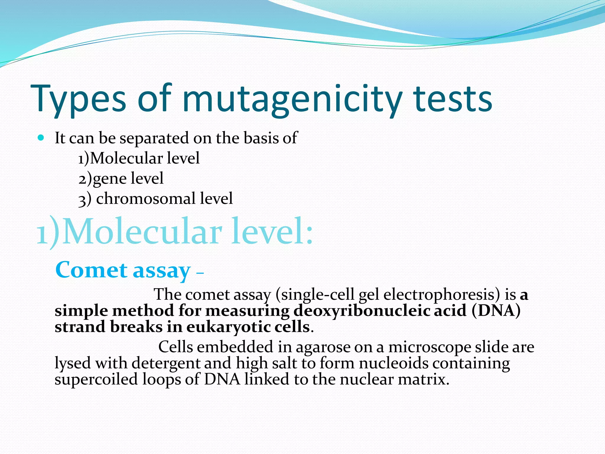 Mutagenicity, Carcinogenicity, Genotoxicity Tests | PPTX
