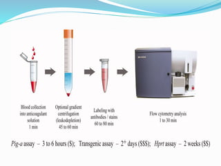 Mutagenicity, Carcinogenicity, Genotoxicity Tests | PPTX