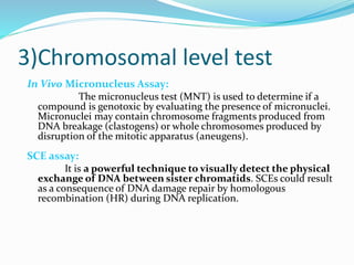 Mutagenicity, Carcinogenicity, Genotoxicity Tests | PPTX