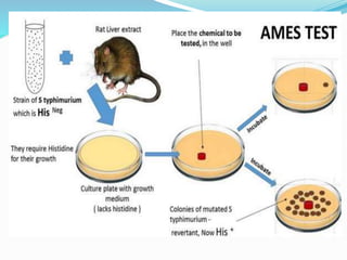 Mutagenicity, Carcinogenicity, Genotoxicity Tests | PPTX