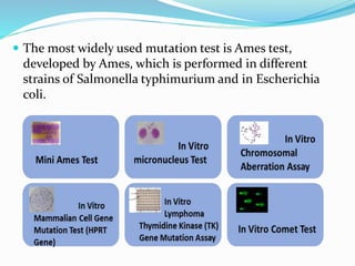 Mutagenicity, Carcinogenicity, Genotoxicity Tests | PPTX