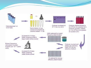 Mutagenicity, Carcinogenicity, Genotoxicity Tests | PPTX