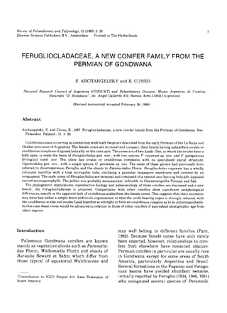FERUGLIOCLADACEAE, A NEW CONIFER FAMILY FROM THE PERMIAN OF GONDWANA | PDF