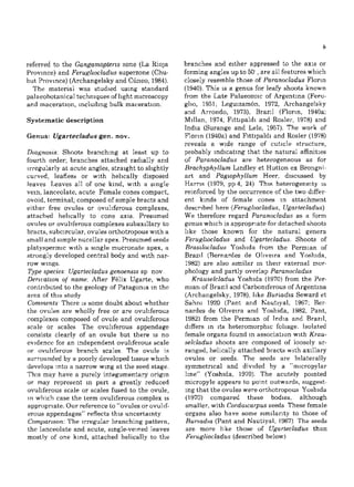 FERUGLIOCLADACEAE, A NEW CONIFER FAMILY FROM THE PERMIAN OF GONDWANA | PDF