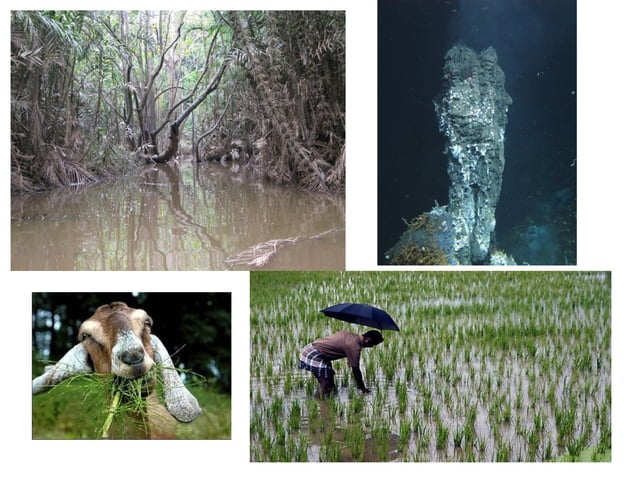 archea - overview and major types .pptx