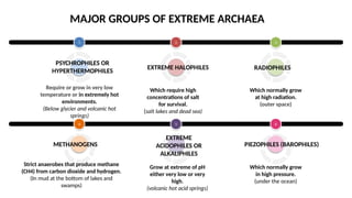 ARCHEA: INTRO, CLASSIFICATION, ROLE IN NATURE, EXTREME ARCHAEA GROUPS ...