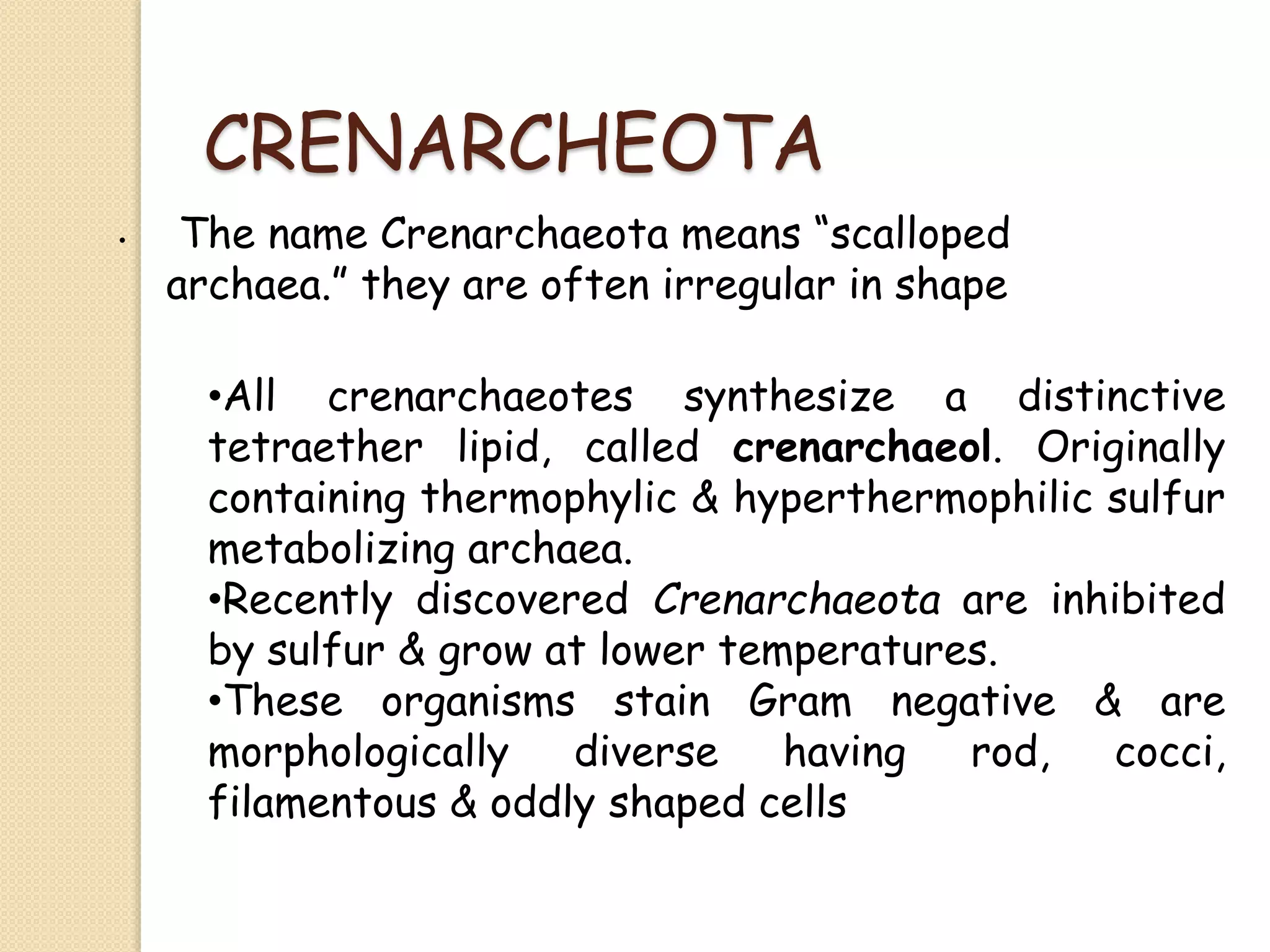 Archeabacteria presentation | PPTX