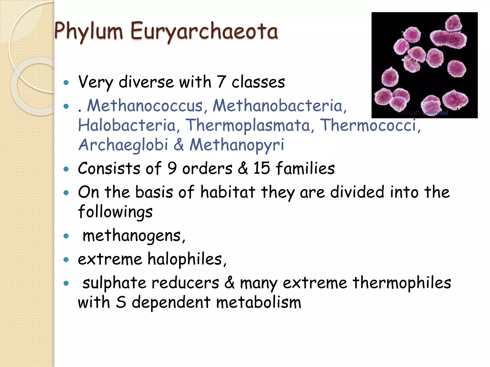 Archeabacteria presentation | PPTX