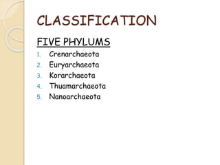 Archeabacteria presentation | PPTX