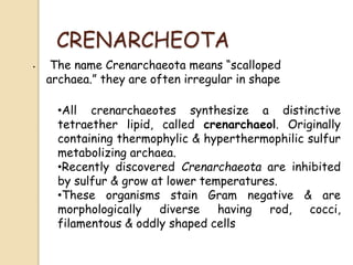 Archeabacteria presentation | PPTX