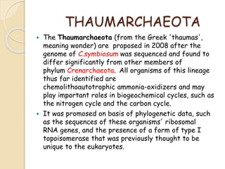 Archeabacteria presentation | PPTX