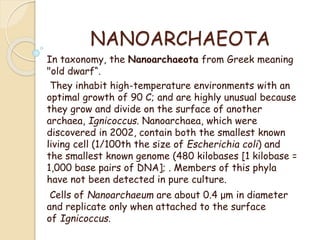 Archeabacteria presentation | PPTX | Biological Sciences | Science