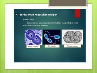 ARCHEBACTERIA DAN EUBACTERIA KINGDOM MONERA.pptx