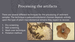 Archeology | PPT