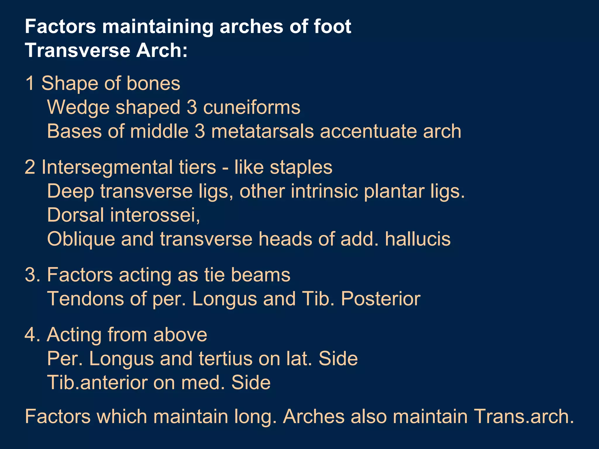 Arches of foot | PPT