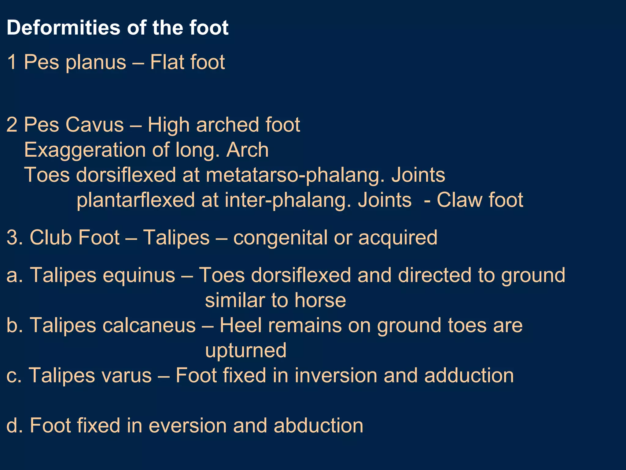 Arches of foot | PPT